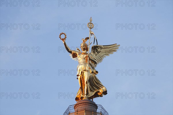 Goldelse - Photo12-imageBROKER-Torsten Kruger