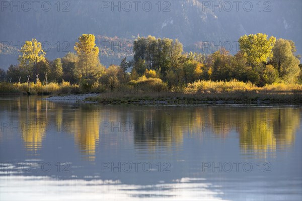 Autumn mood with mountain views on Forggensee lake near Fussen ...