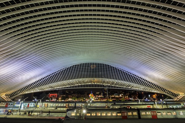 Liege railway station - Photo12-imageBROKER-Harry Laub
