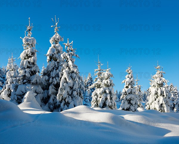 Snow-covered untouched winter landscape - Photo12-imageBROKER-AVTG