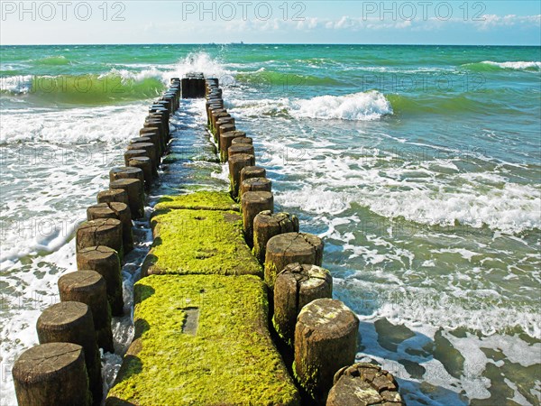 Groynes at the west beach - Photo12-imageBROKER-Werner Wulf