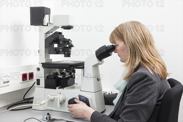 Scientist at an inverted microscope in the Faculty of Biology at the ...