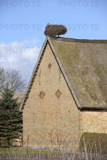 White stork - Photo12-imageBROKER-Christof Wermter