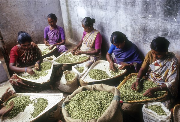 Women winnowing and cleaning the cardamom at Bodinayakanur - Photo12 ...