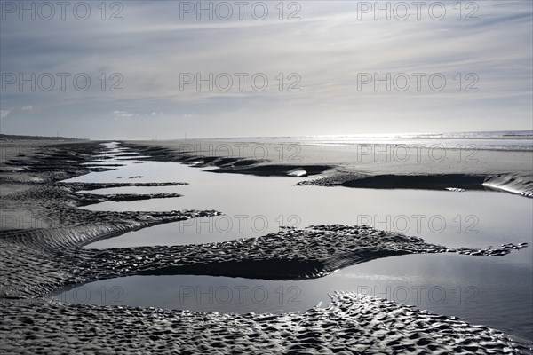 Sandy beach beach at low tide with tide pools - Photo12-imageBROKER ...