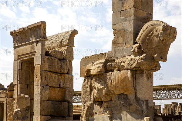 Bull capital - Photo12-imageBROKER-Raimund Franken