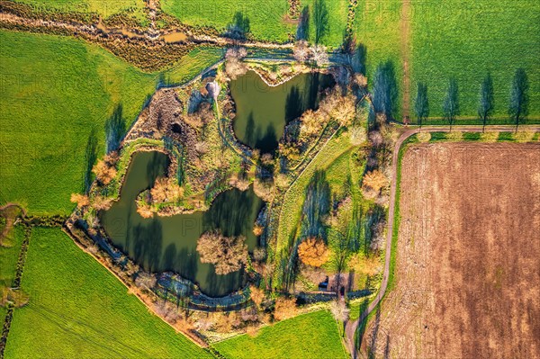 Top Down view over Ponds - Photo12-imageBROKER-Maciej Olszewski