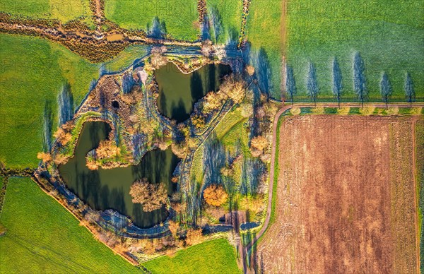Top Down view over Ponds - Photo12-imageBROKER-Maciej Olszewski
