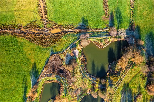 Top Down view over Ponds - Photo12-imageBROKER-Maciej Olszewski