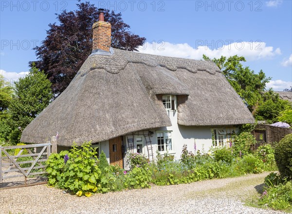 Pretty historic thatched cottage home in village of Whatfield - Photo12 ...