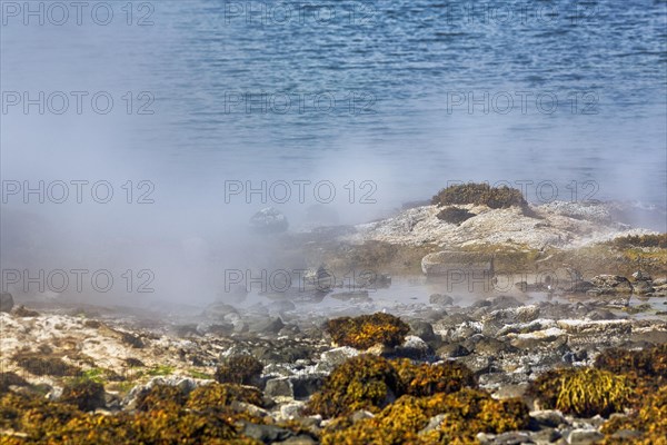 Hot spring flowing into the sea - Photo12-imageBROKER-Angela to Roxel