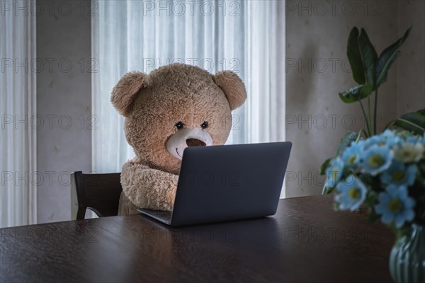 Teddy bear working on the computer in the living room - Photo12 ...