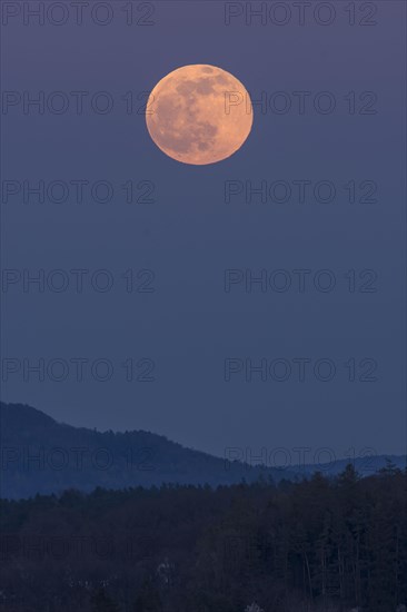 Rising full moon - Photo12-imageBROKER-Helmut Meyer zur Capellen