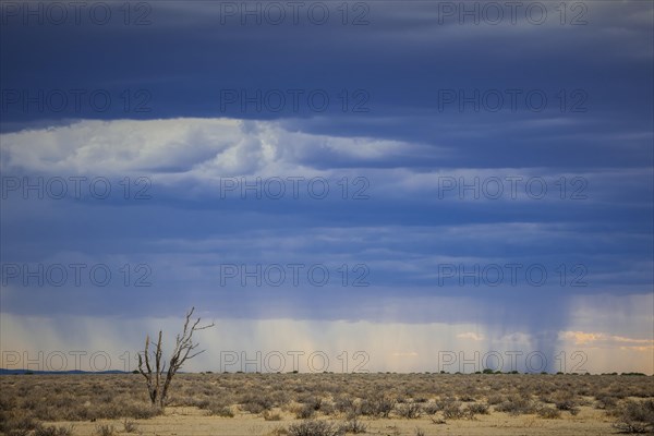 Rain over the landscape - Photo12-imageBROKER-Matthias Graben