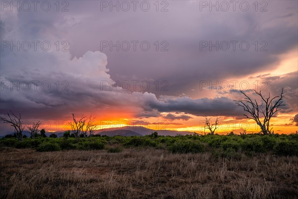 Landscape shot - Photo12-imageBROKER-Jan Wehnert