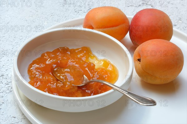 Apricot jam in shell and apricots - Photo12-imageBROKER-Juergen Pfeiffer