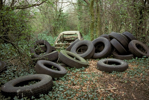Dumped car and tyre in clearing - Photo12-imageBROKER-John Watkins