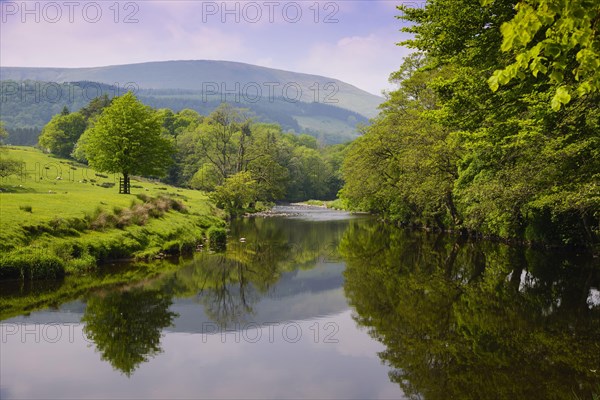 View of river and riverside trees - Photo12-imageBROKER-John Eveson