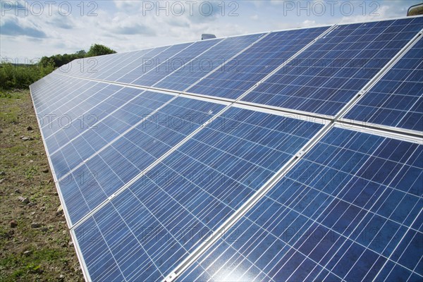 Solar panels to generate electricity for pig farm - Photo12-imageBROKER ...