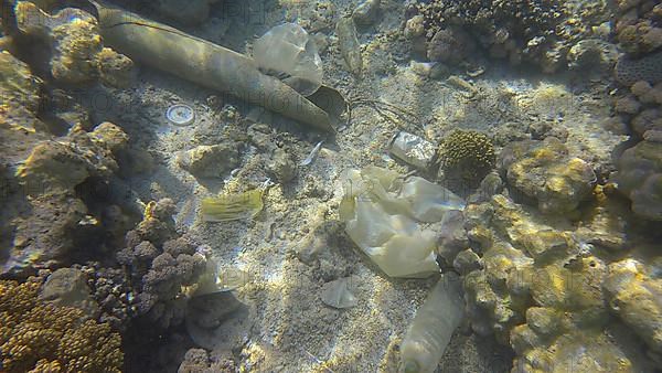 Seabed of beautiful coral reef covered with plastic and other garbage ...
