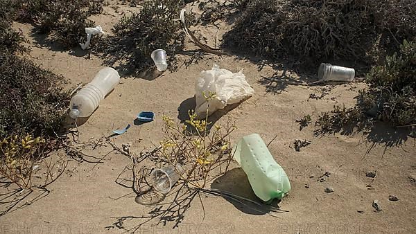 Plastic trash in the desert. Plastic pollution in sandy desert. Egypt ...