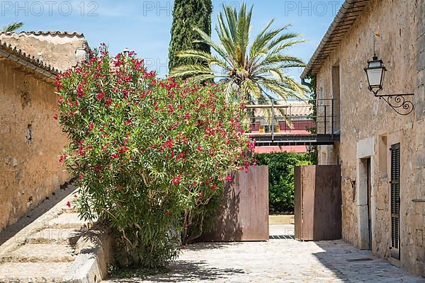 Historic winery Bodega Ribas, Connell - Photo12-imageBROKER-Marc Rasmus