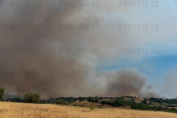 Clouds of smoke over olive grove, forest fire - Photo12-imageBROKER ...