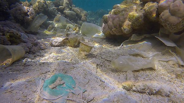 Seabed of beautiful coral reef covered with plastic and other garbage ...