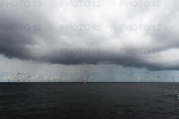 Meerwind offshore wind farm, economic zone - Photo12-imageBROKER ...