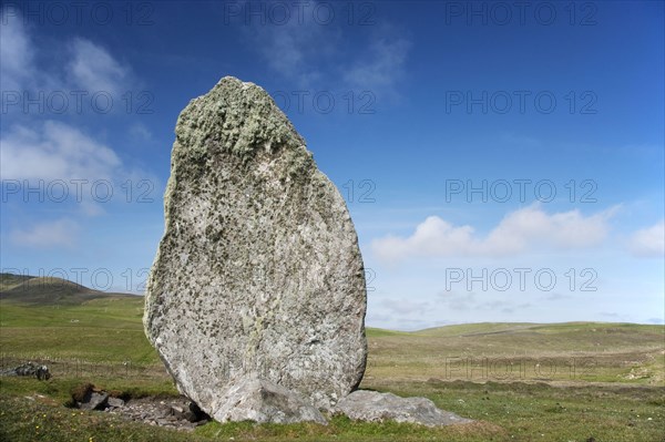 Standing Stone - Photo12-imageBROKER-Bill Coster