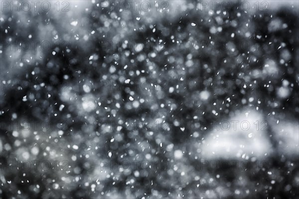 Snowflakes at night - Photo12-imageBROKER-Angela to Roxel