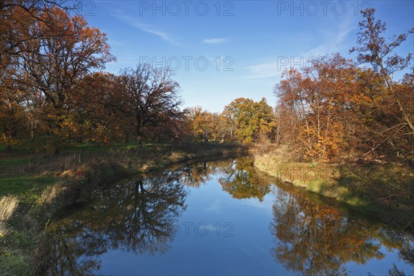 Autumn in the floodplain landscape - Photo12-imageBROKER-Volker Lautenbach