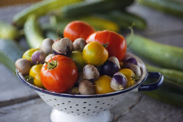 Home Grown Organic Produce - Photo12-imageBROKER-Phil Degginger