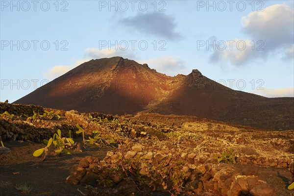 Red volcanic landscapes - Photo12-imageBROKER-Ralf Adler