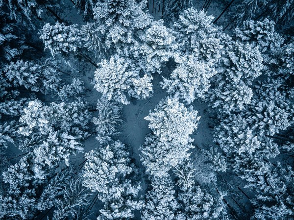 Aerial view of winter forest in snow and ice - Photo12-imageBROKER ...
