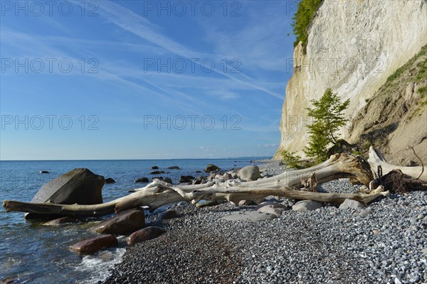 The chalk cliffs of Ruegen - Photo12-imageBROKER-Klaus-Dieter Moebus