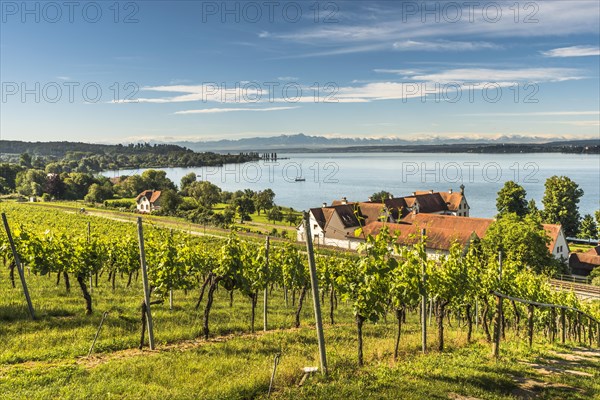 View over Lake Constance - Photo12-imageBROKER-Conny Pokorny