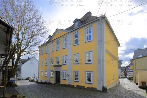Baroque yellow Beustsches House - Photo12-imageBROKER-Gerald Abele