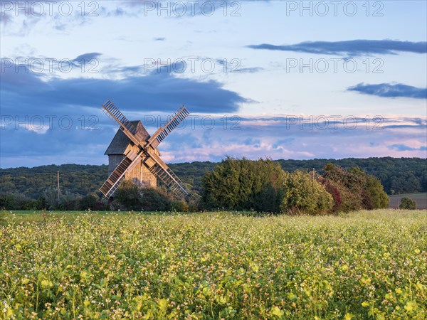 The windmill of Krippendorf on the battlefield of 1806 in the last ...