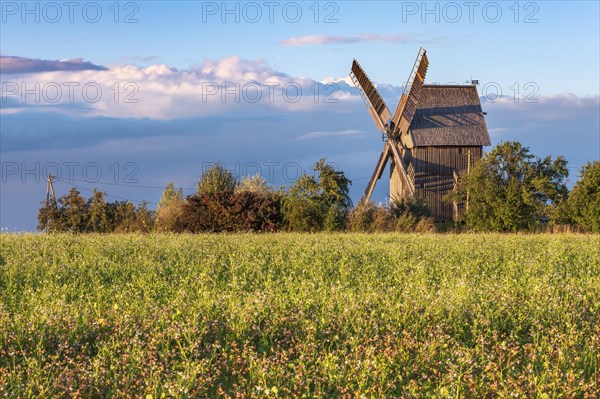 The windmill of Krippendorf on the battlefield of 1806 in the last ...