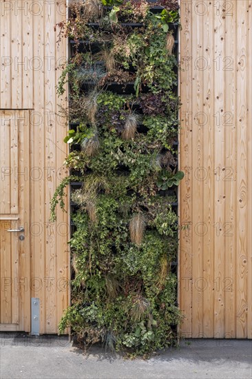 Building wall overgrown with green plants at the Federal Horticultural ...