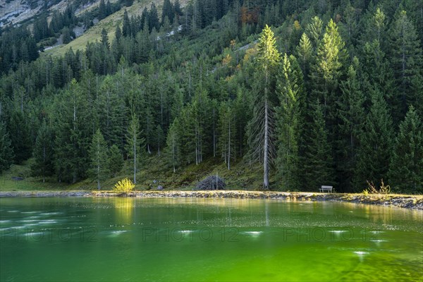 The Seealpe snowmaking pond - Photo12-imageBROKER-Susanne Fritzsche