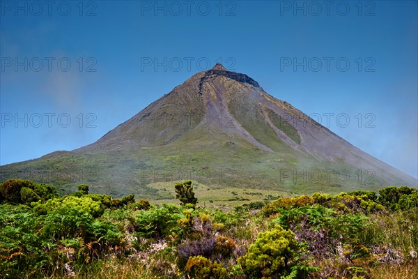 The picturesque Pico volcano rises up in a green landscape, Highlands ...