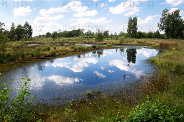 Moorland landscape, moorland water with clouds, Diepholzer Moor nature ...