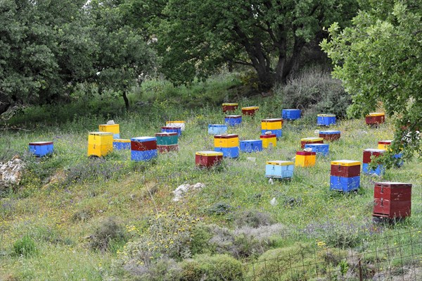 Beehives, near Rethymno, Crete, Greece, Europe - Photo12-imageBROKER ...