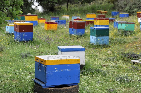 Beehives, near Rethymno, Crete, Greece, Europe - Photo12-imageBROKER ...