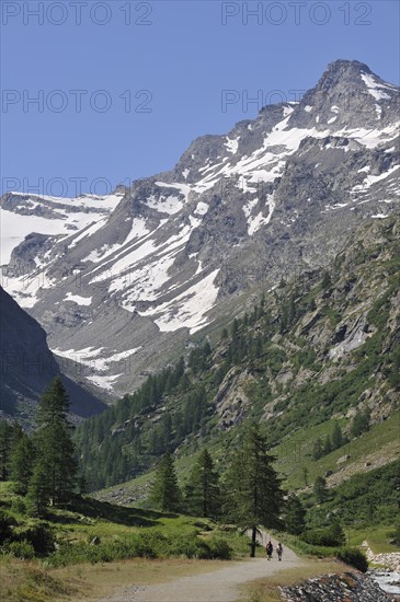 Walkers in the Valsavarenche Valley in the Gran Paradiso National Park ...