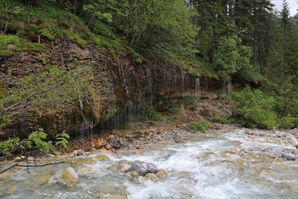 Triefen, Triafnfall, natural monument, Hinterthal, Salzburg, Austria ...