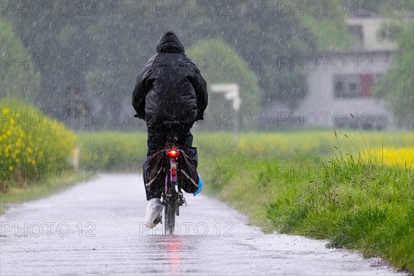 A cyclist rides along a country lane in heavy rain in the north-west of ...