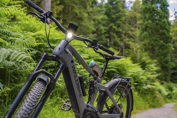 E-bike on a forest path, surrounded by green foliage and trees ...